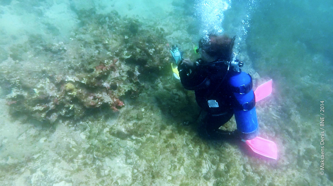 Where is the Santa Maria, the ship of Columbus? – Archaeology Mysteries