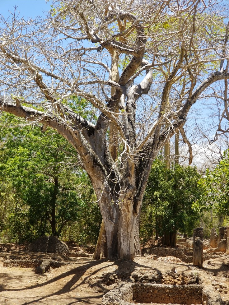 Gede – A ghost town in the African bushland – Archaeology Mysteries