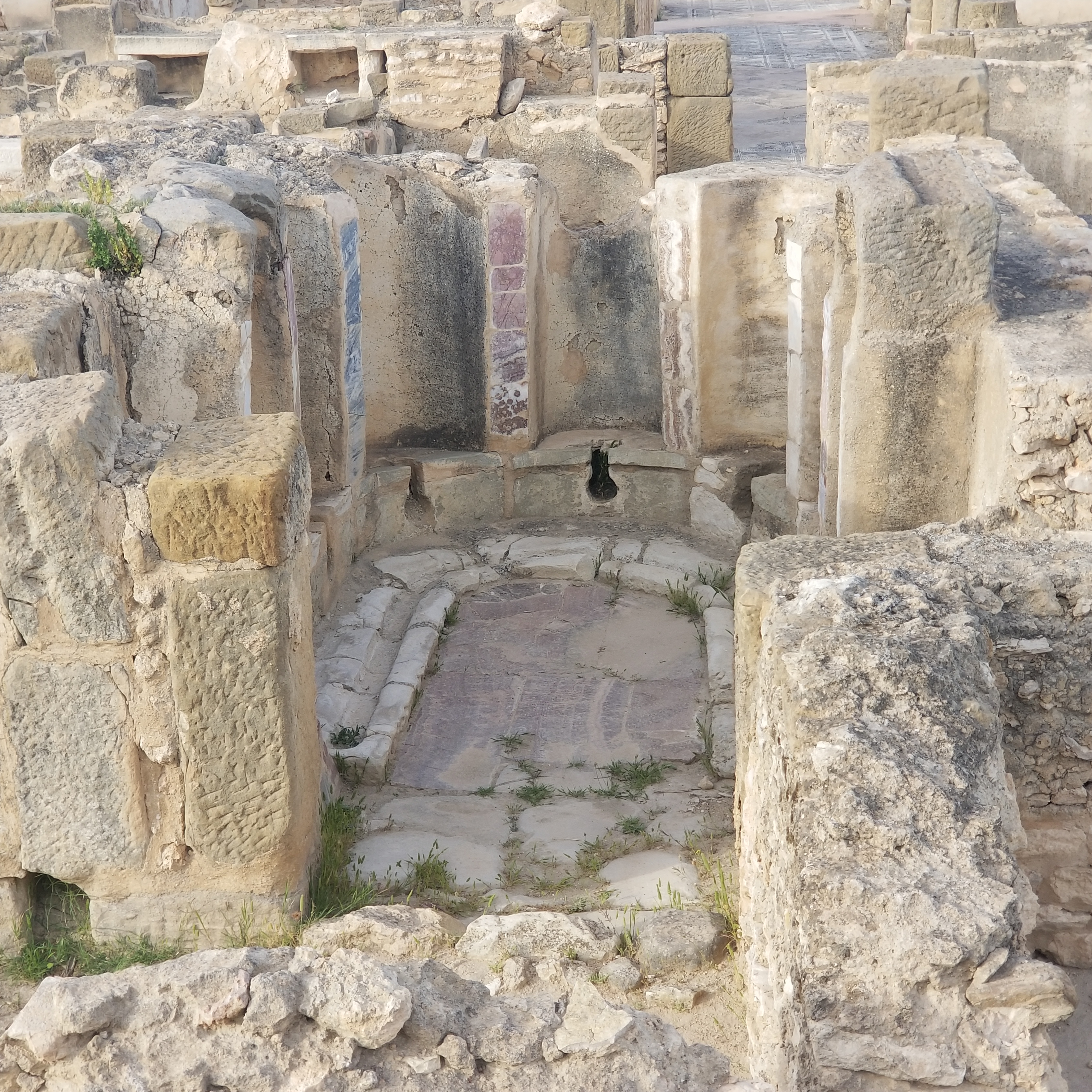 Did the ancient Romans share their toilet sponge? – Archaeology Mysteries